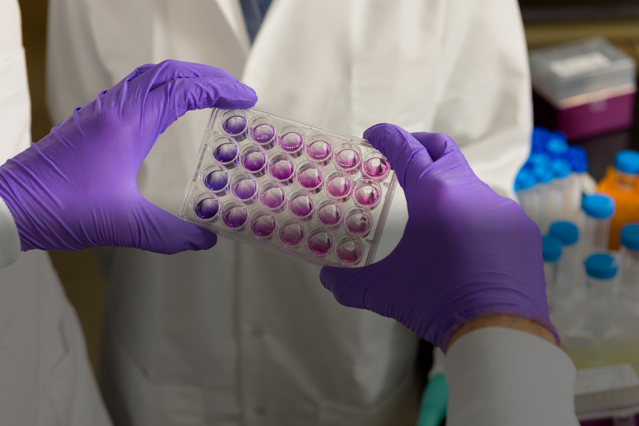 Home | Biomedical Engineering