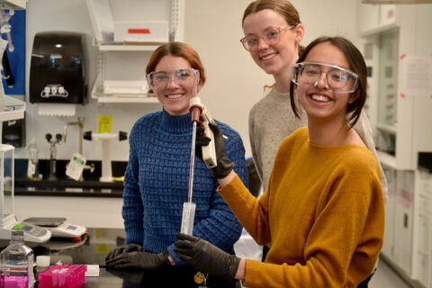 Undergraduate Program | Biomedical Engineering